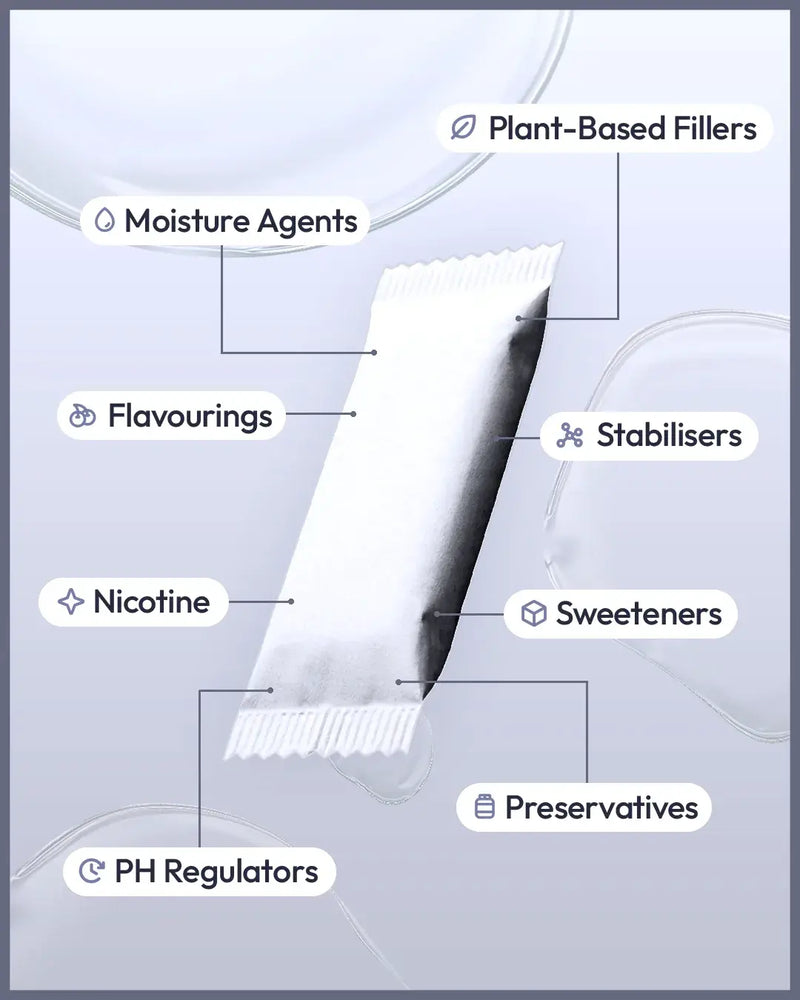 Snus Ingredients: Explained